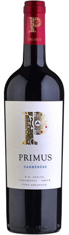 Curry de pollo – El Match Perfecto